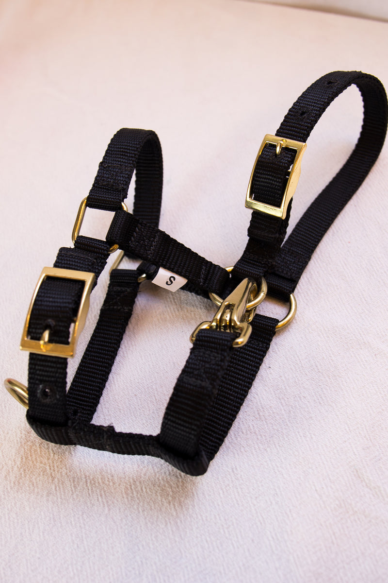 Embroidery Adjustable Nylon Halter – Mr Mikes Mini Tack Shack