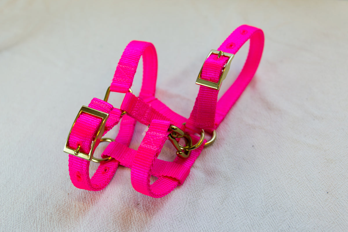 Adjustable Halters with Throat Latch Snap-Brass Plated Hardware – Mr ...