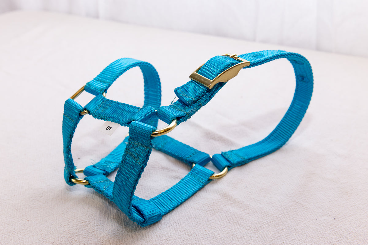 Classic (Regular)Nylon Halters – Mr Mikes Mini Tack Shack