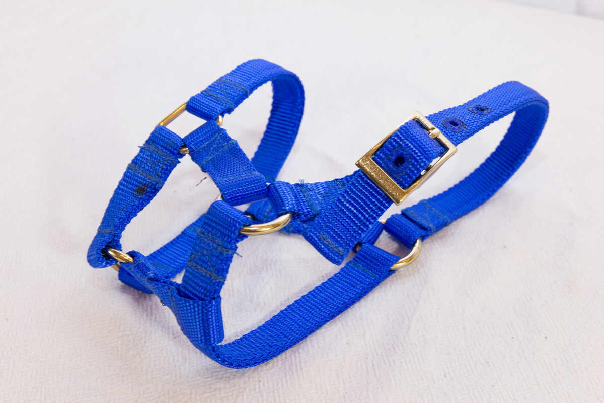 Classic (Regular)Nylon Halters – Mr Mikes Mini Tack Shack