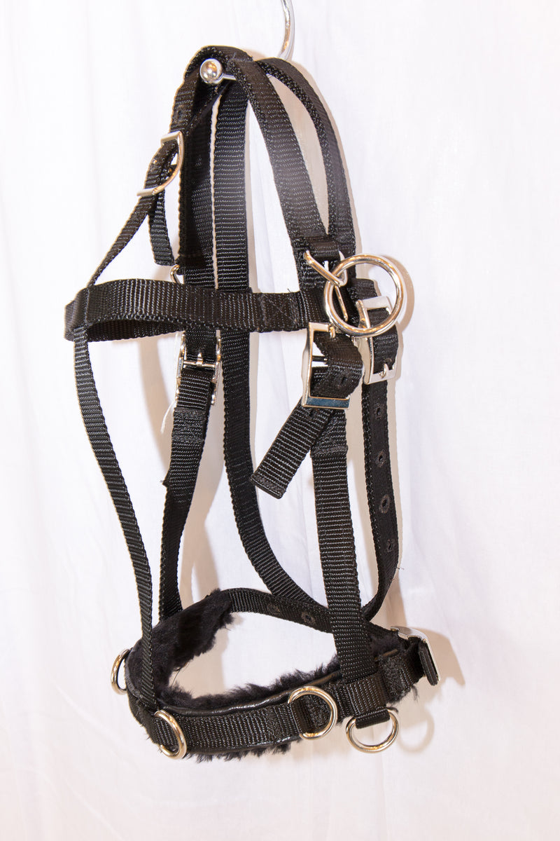 Miniature Horse Nylon Training Caveson – Mr Mikes Mini Tack Shack