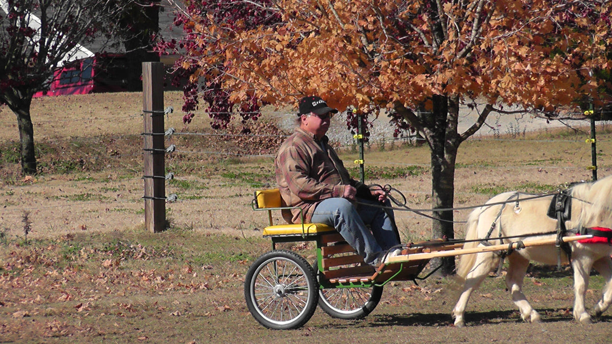 Easy Entry Carts – Mr Mikes Mini Tack Shack