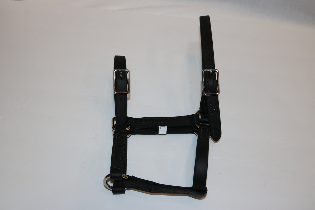 Biothane Halter-Black – Mr Mikes Mini Tack Shack