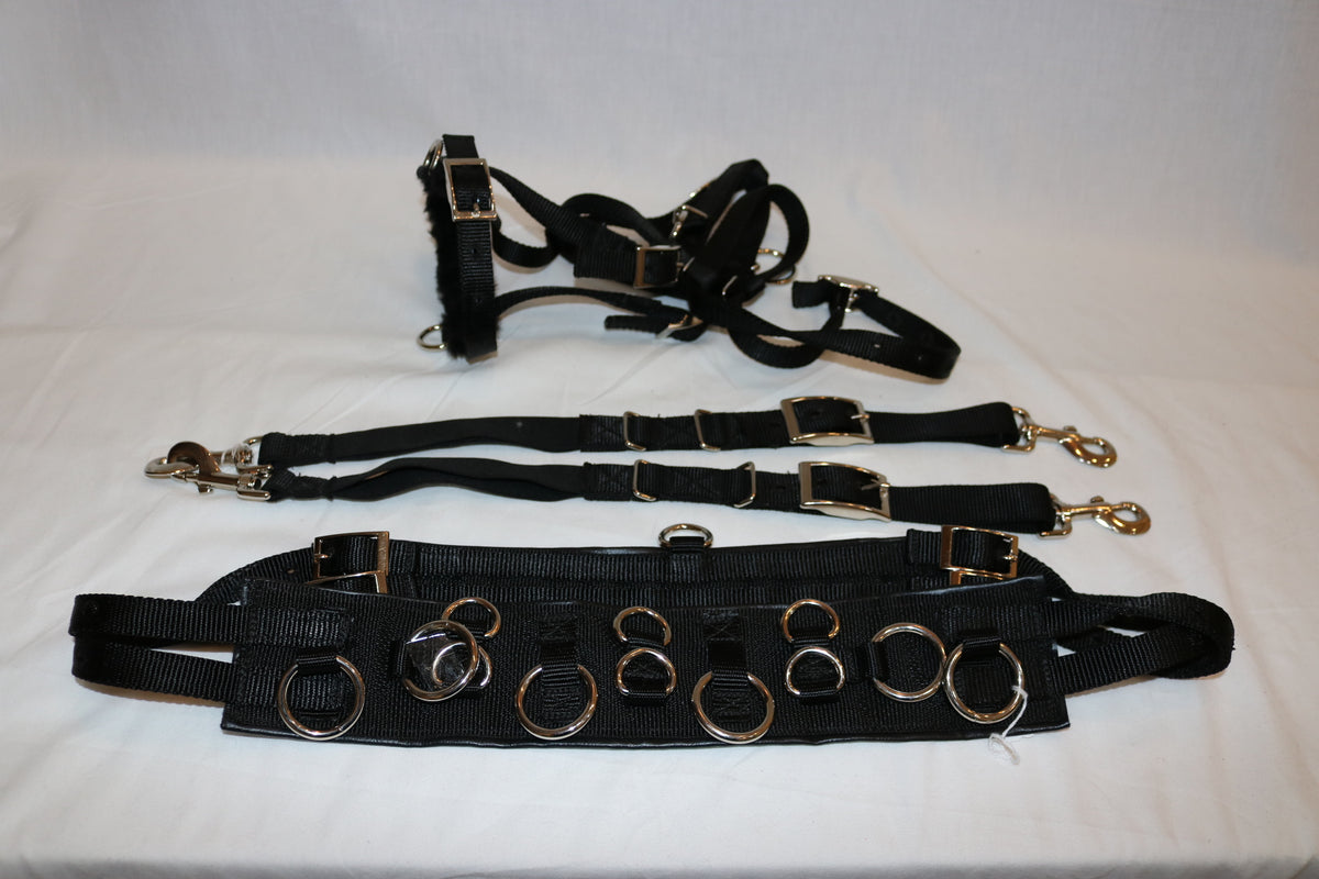 Miniature Horse Nylon Training Kit -Standard Kit – Mr Mikes Mini Tack Shack